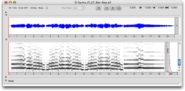 AudioSculpt Sound Examples - "Reverse/Repeat"